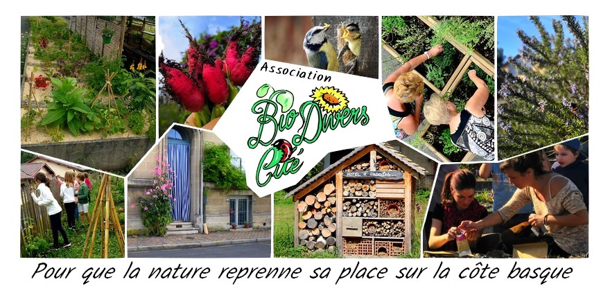 L'association - Bio Divers Cité
