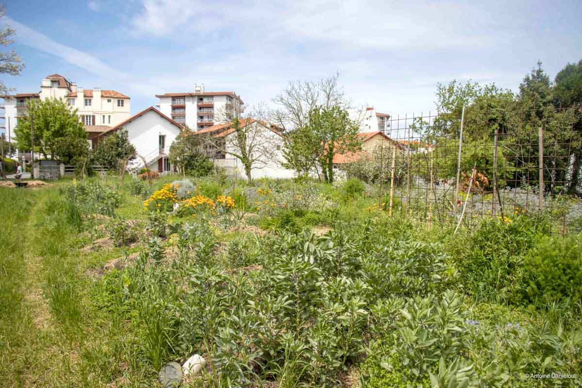 Notre siège, notre jardin - Bio Divers Cité